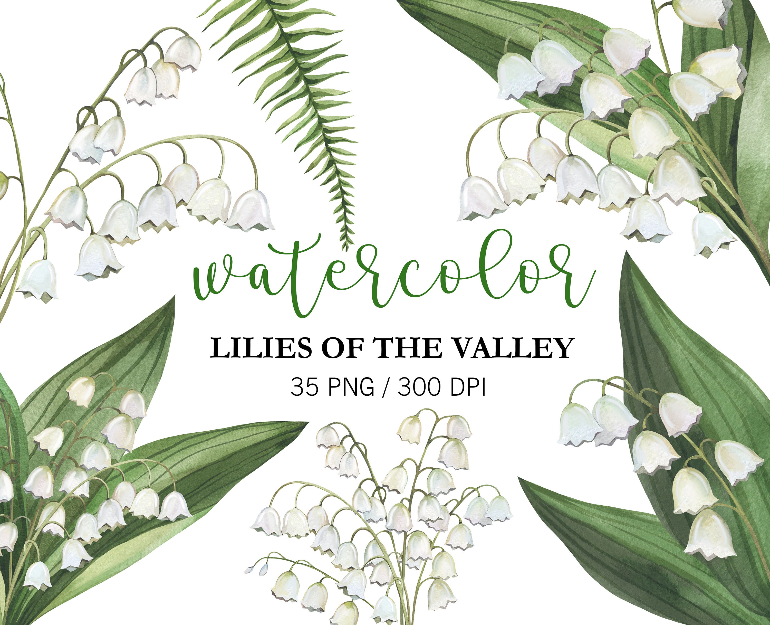 Watercolor Lily of the Valley Clipart Floral Clipart - Etsy