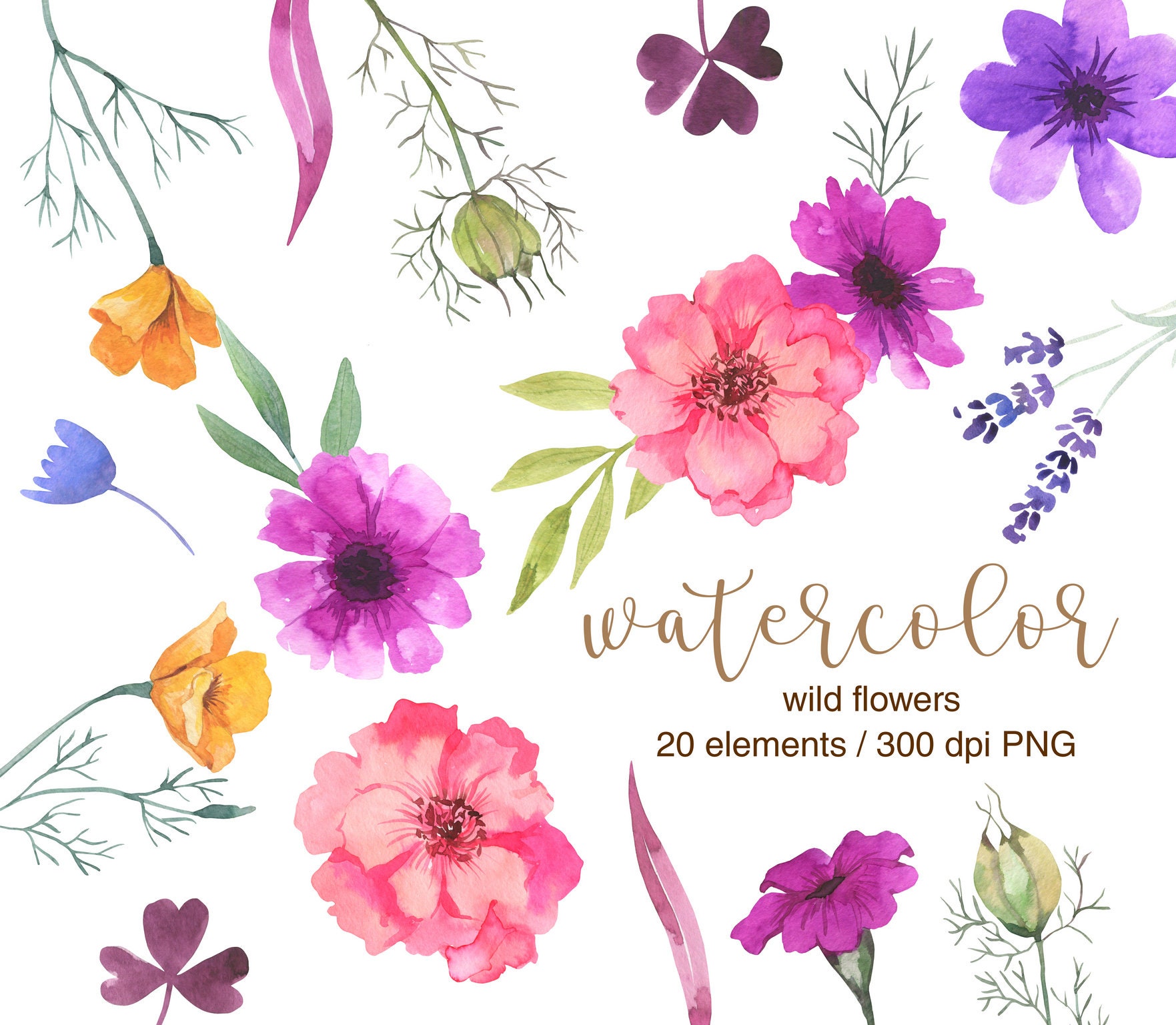 Watercolor Wildflowers Clipart Floral Clipart Field Flowers - Etsy