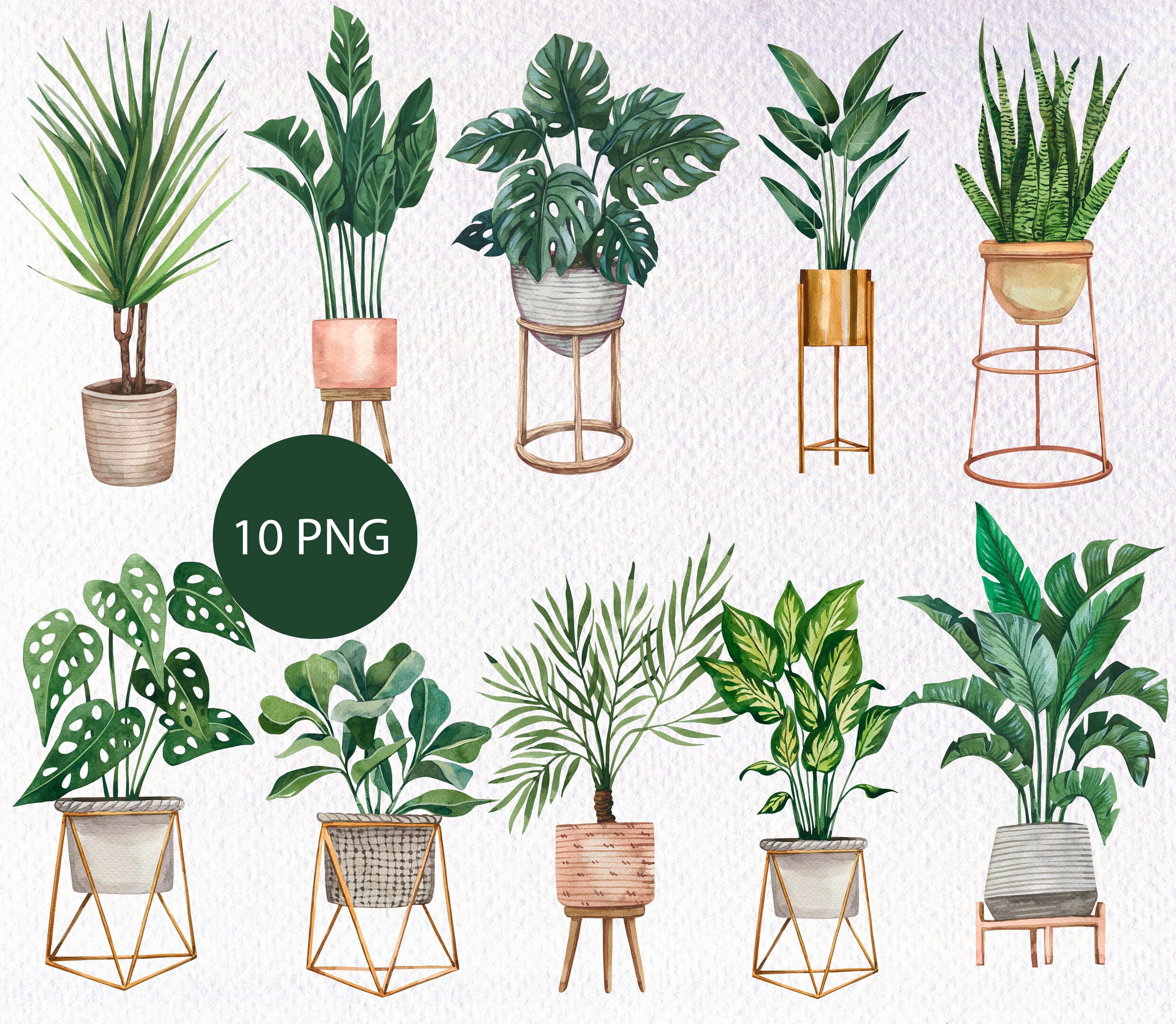 Watercolor Home Plants Clipart Potted Plants Clipart Indoor - Etsy