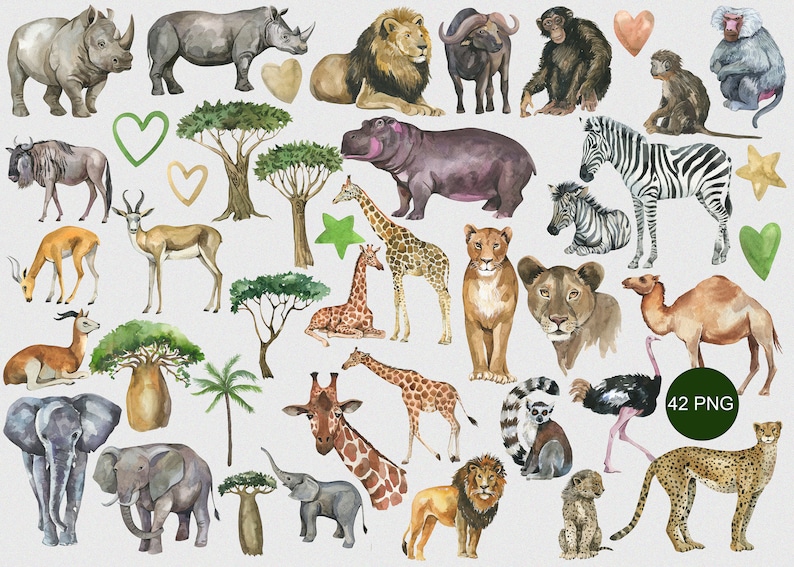 Watercolor African Animals Clipart, Savannah Animals, Wild Life, PNG ...
