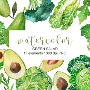 Watercolor Cabbage Clipart, PNG, Green Vegetables, Green Avocado ...