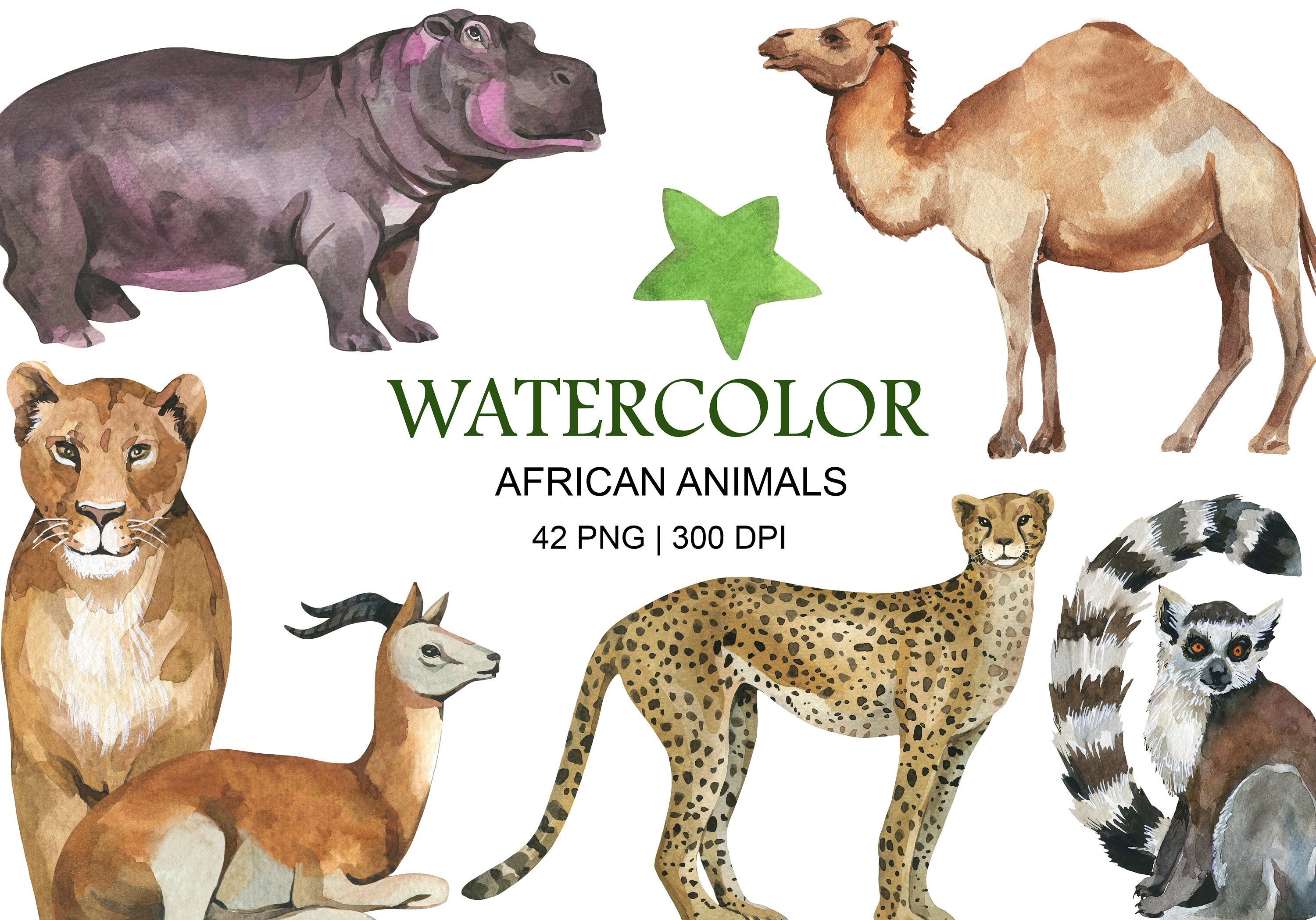 Watercolor African Animals Clipart Savannah Animals Wild - Etsy