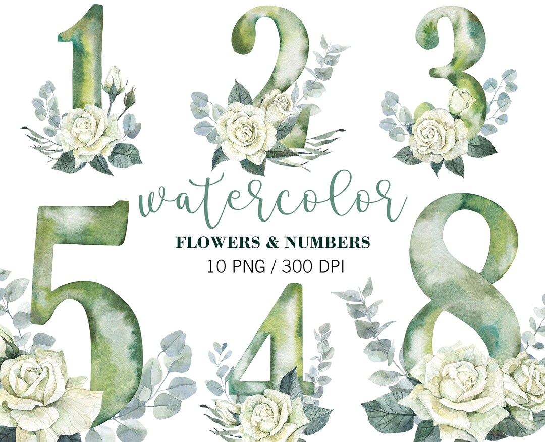 Watercolor Numbers Clipart, Floral Number Clip Art, White Roses ...