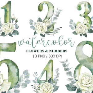 Watercolor Numbers Clipart, Floral Number Clip Art, White Roses ...