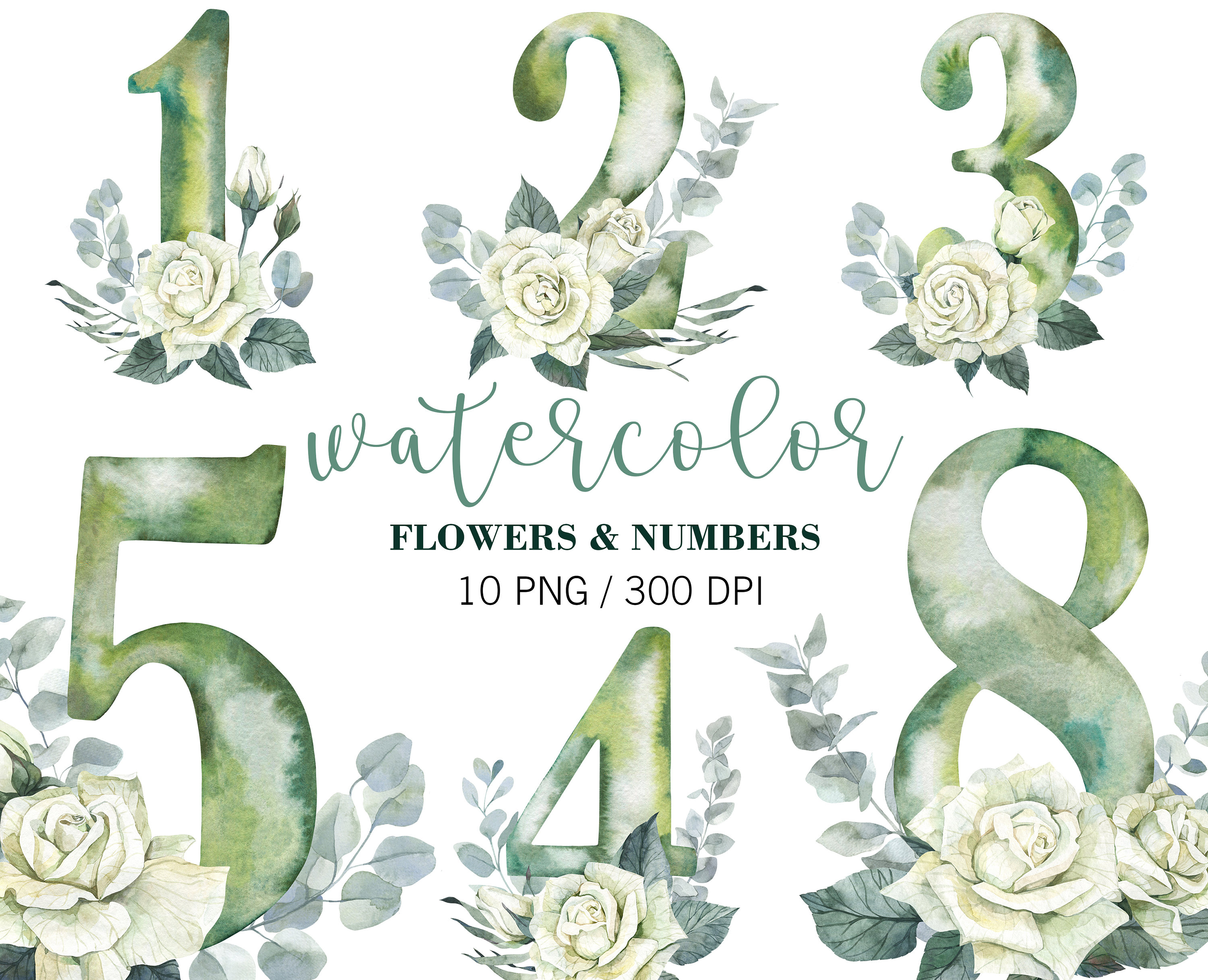 Watercolor Numbers Clipart Floral Number Clip Art White - Etsy