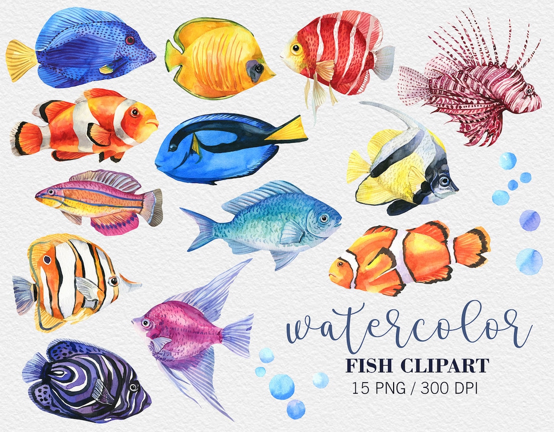 Watercolor Coral Reef Fish Clipart, Ocean Clipart, Sea Life Clipart ...
