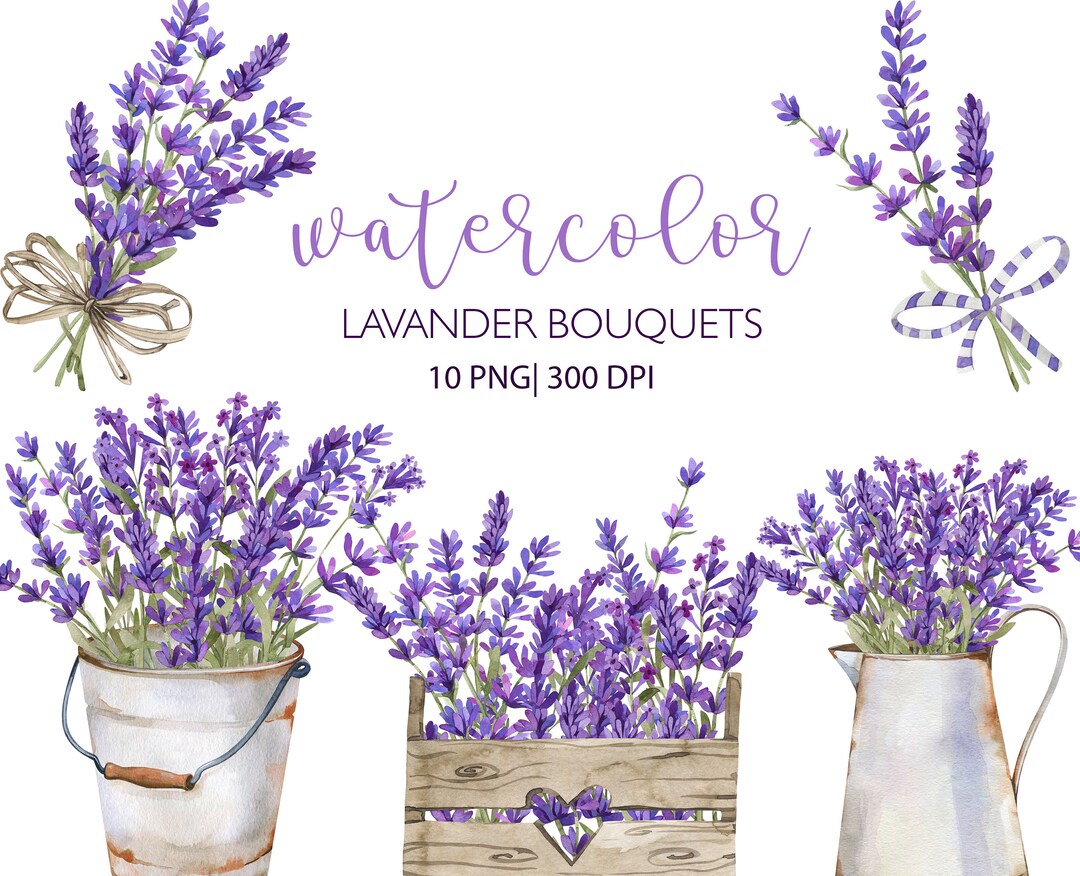 Watercolor Lavander Bouquet, Lavender Plant, Rustic Wedding Clipart ...