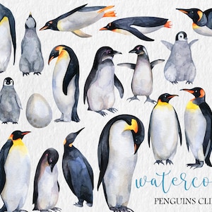 Watercolor Penguin Clipart, Nursery Decor, Watercolor Arctic Animals ...