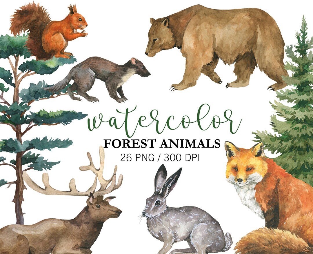 Watercolor Forest Animal Clipart, PNG, Watercolor Forest Animals ...