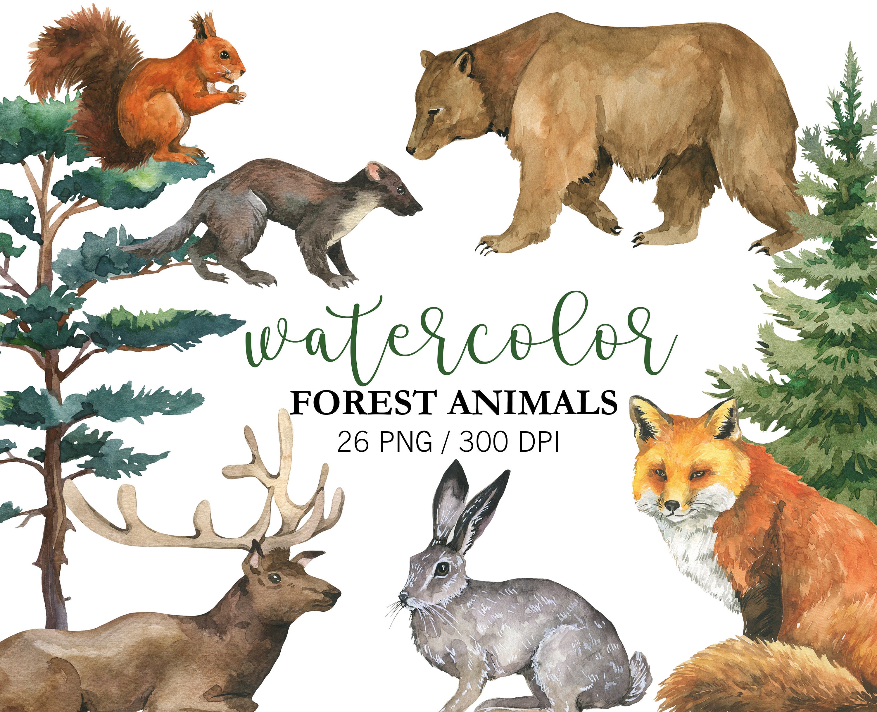 Watercolor Forest Animal Clipart PNG Watercolor Forest - Etsy
