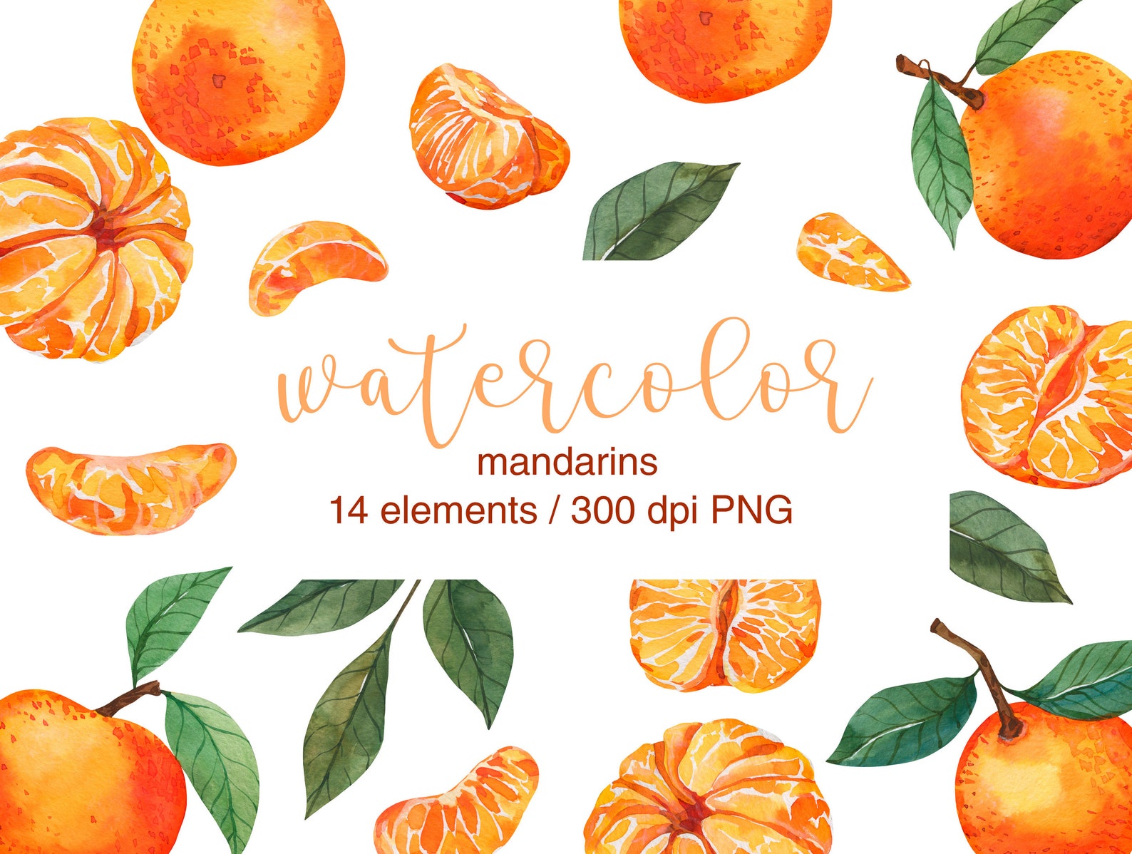 Tangerines Clipart, Watercolor Tangerine Clipart, Mandarin Clipart ...