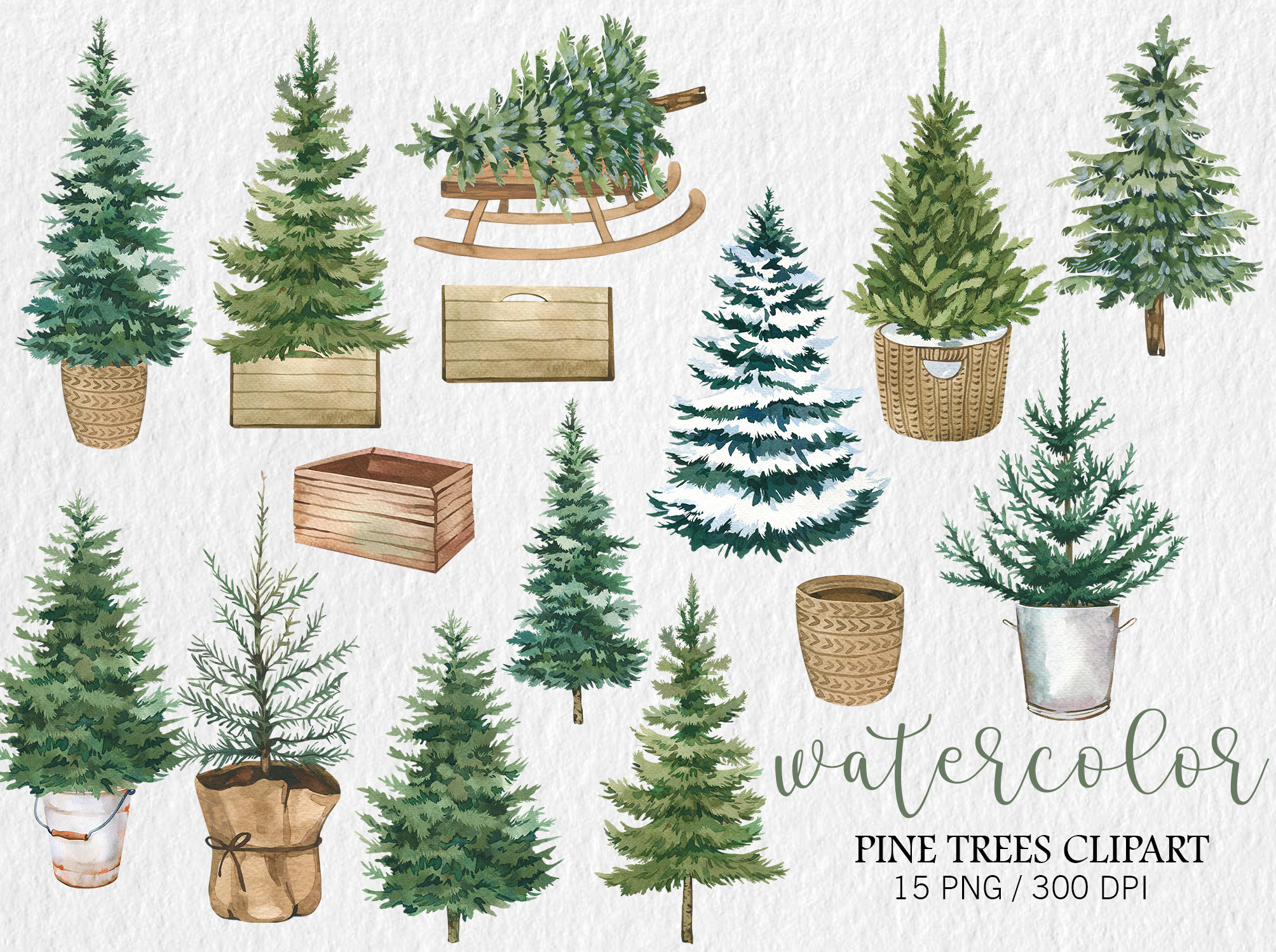 Watercolor Christmas Tree Clipart Pine Tree Clipart Pine - Etsy