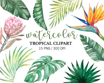 Watercolor Tropical Leaves Clipart, Hand Painted Monstera Leaves Jungle ...