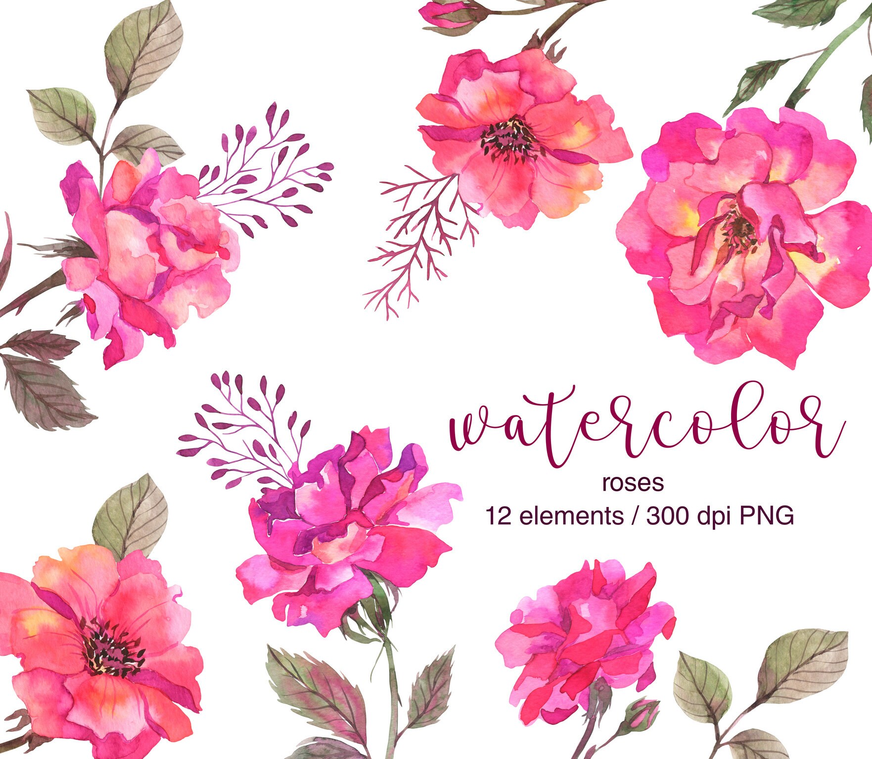 Watercolor Roses Clipart Wild Roses Clipart Roses Watercolor - Etsy