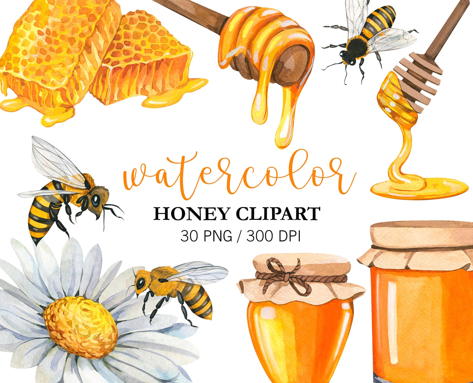 Watercolor Honey Clipart Nursery Decor Summer Clipart Fall - Etsy