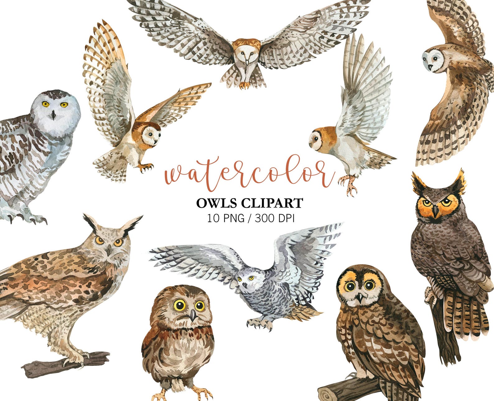 Watercolor Owls Clipart, Woodland Forest Clipart, Nursery Decor, PNG ...