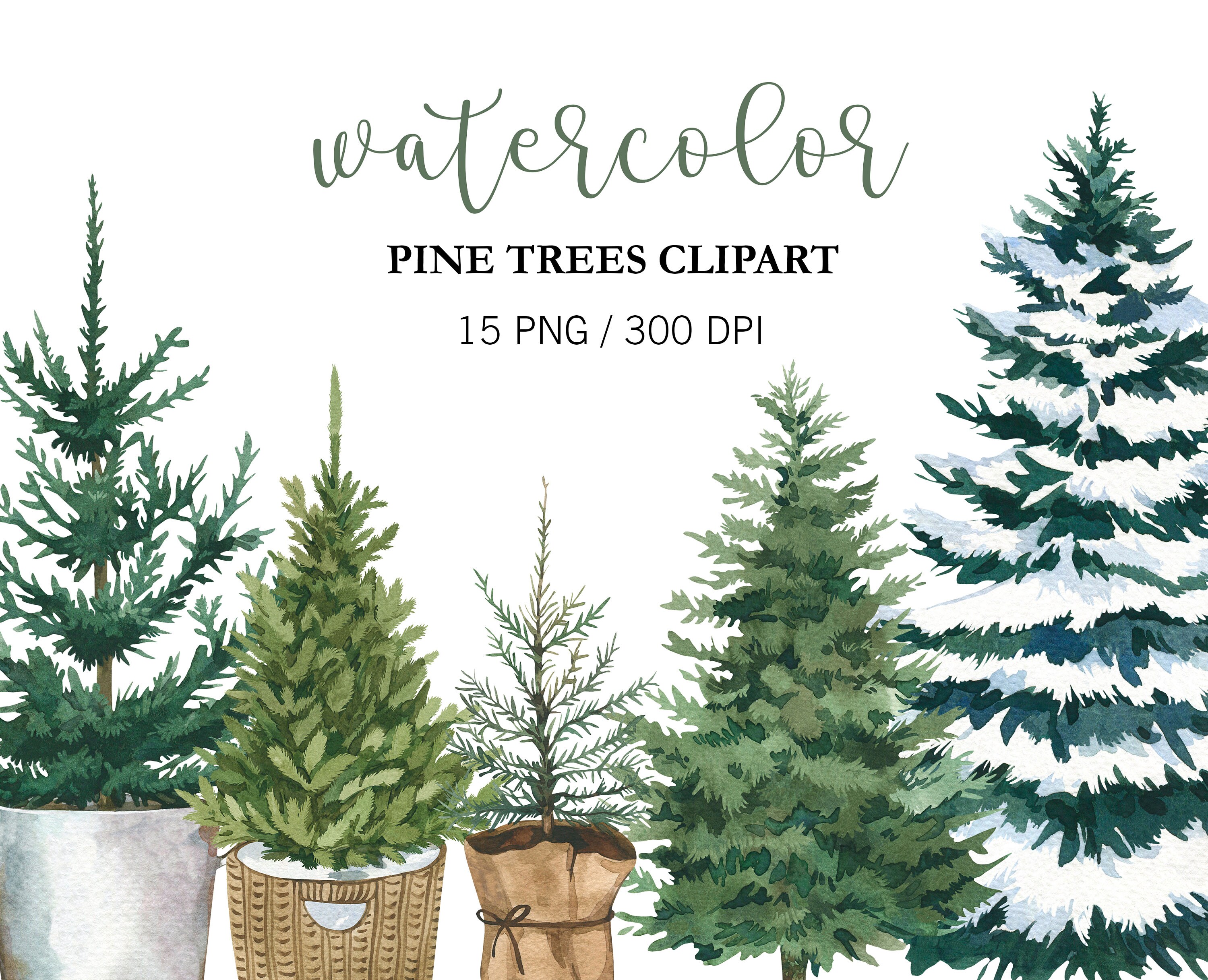 Watercolor Christmas Tree Clipart Pine Tree Clipart Pine - Etsy