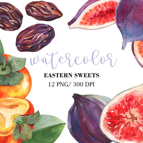 Figs Watercolor Studies Fruits Watercolor Clipart Vegan Food | Etsy