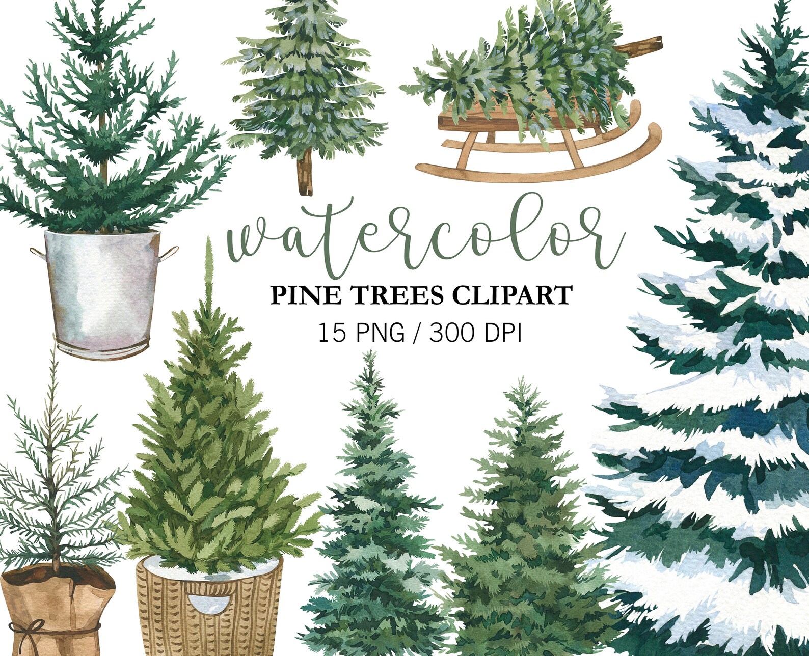 Watercolor Christmas Tree Clipart, Pine Tree Clipart, Pine Tree PNG ...