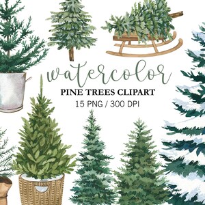 Watercolor Christmas Tree Clipart, Pine Tree Clipart, Pine Tree PNG ...