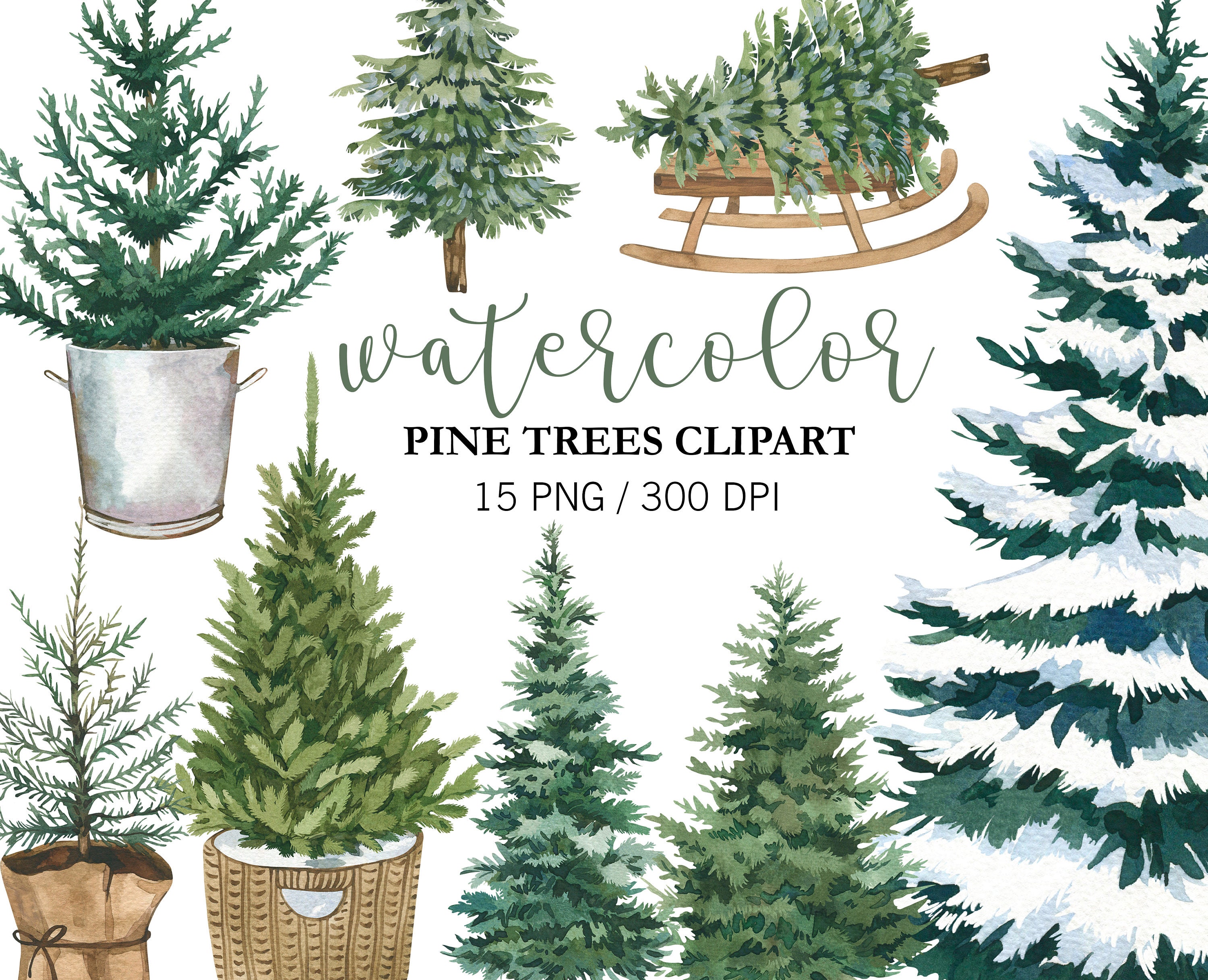 Watercolor Christmas Tree Clipart Pine Tree Clipart Pine - Etsy