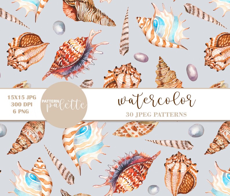 Watercolor Seashells Seamless Patterns, Ocean Seashell, Watercolor ...