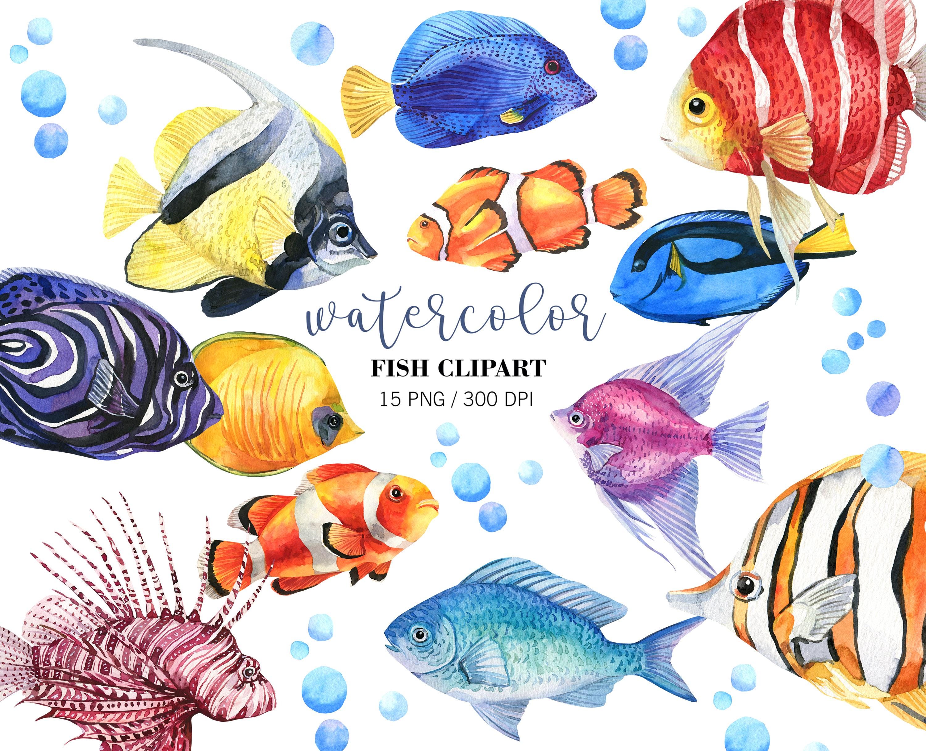 Watercolor Coral Reef Fish Clipart PNG, Ocean Animals, Tropical Sea ...