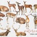 Watercolor Deer Clipart, Nursery Decor, Deer PNG, Watercolor Animals ...