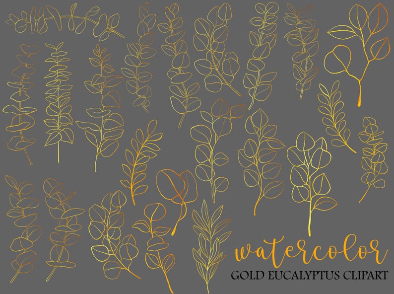 Gold Eucalyptus Clipart, Doodle Clipart, PNG, Glitter Eucalyptus Leaf ...