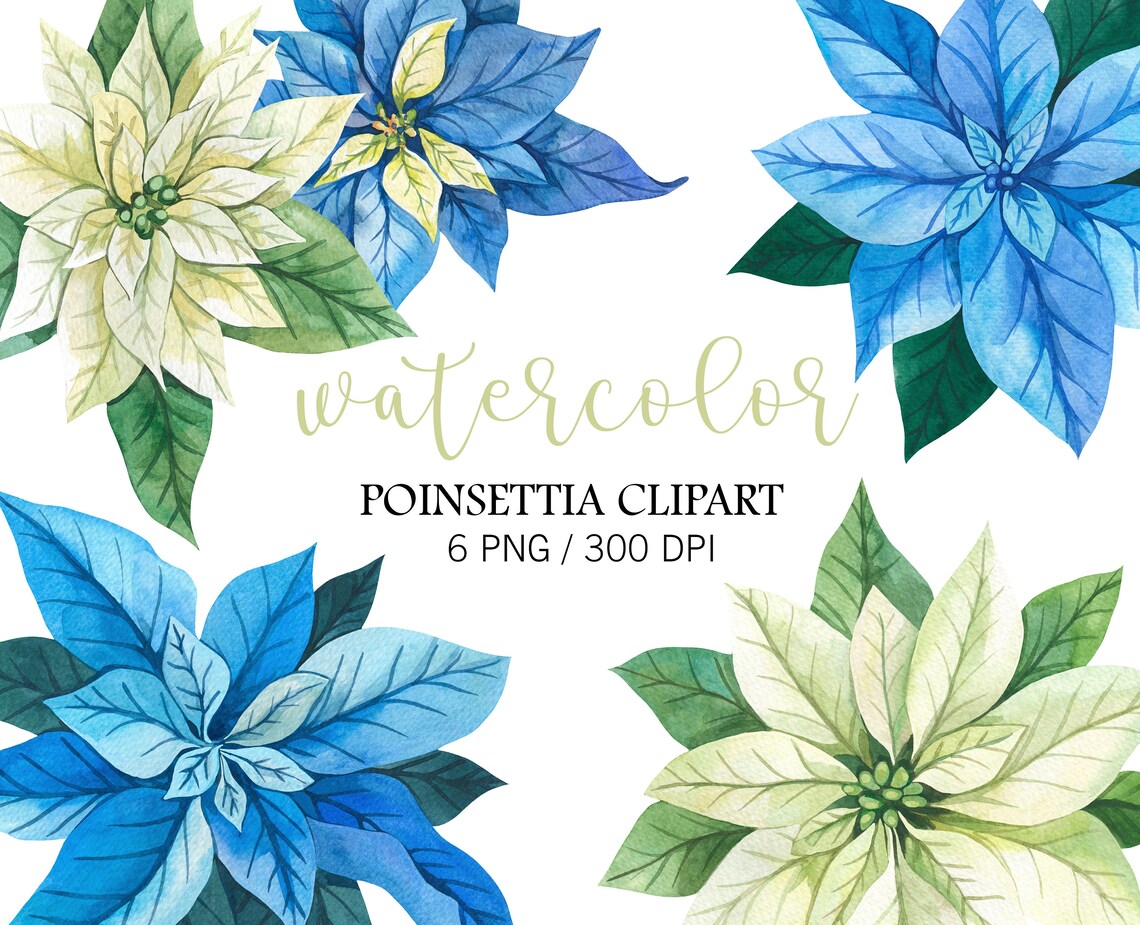 Watercolor Christmas Clipart Watercolor Poinsettia Christmas - Etsy