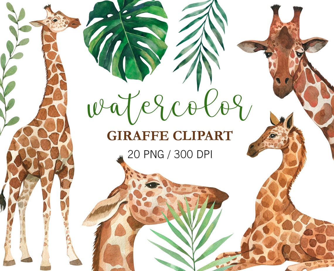 Watercolor Giraffe Clipart Animal Clipart Safari Nursery - Etsy