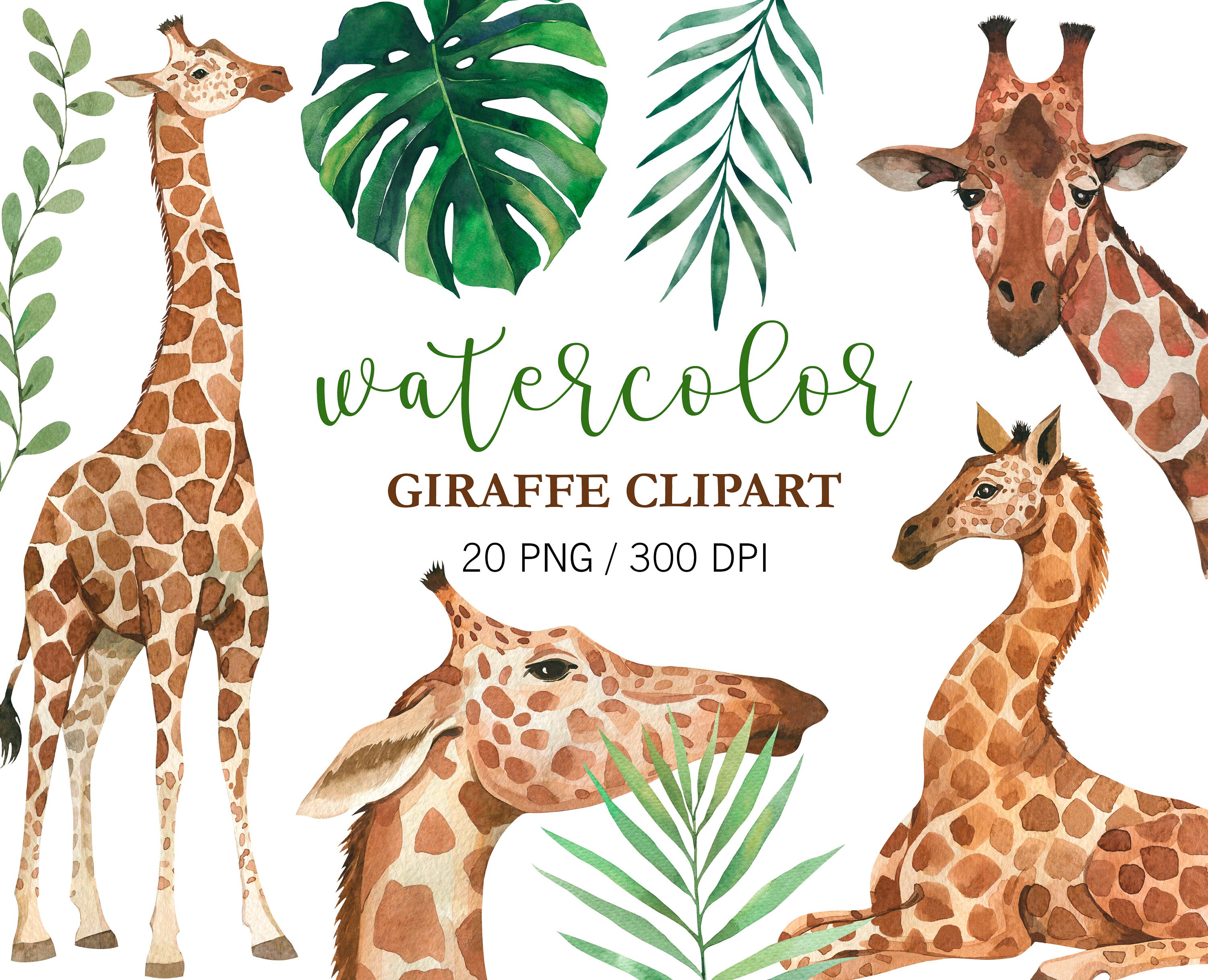 Watercolor Giraffe PNG Clipart, Safari Nursery Wall Decor, Baby Shower ...