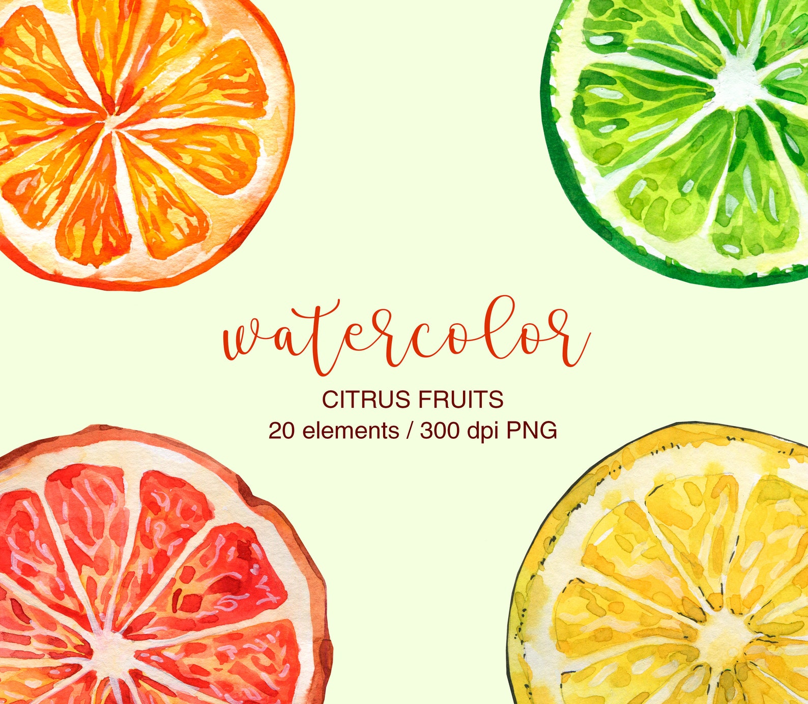 Watercolor Citrus Fruits Clipart Citrus Clipart Lemon PNG - Etsy