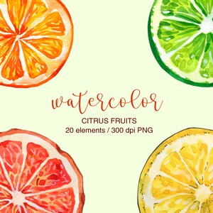 Watercolor Citrus Fruits Clipart, Citrus Clipart, Lemon PNG, Lime ...