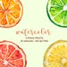 Watercolor Citrus Fruits Clipart, Citrus Clipart, Lemon PNG, Lime ...