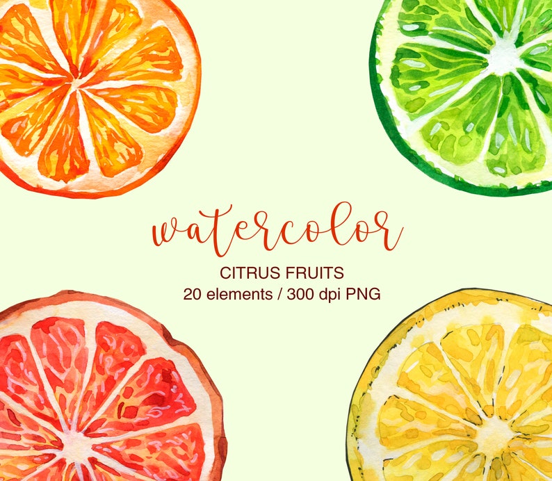 Watercolor Citrus Fruits Clipart Citrus Clipart Lemon PNG - Etsy