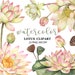 Watercolor Lotus Clipart, Water Lilies, Lotus Flower, Lotus Green ...