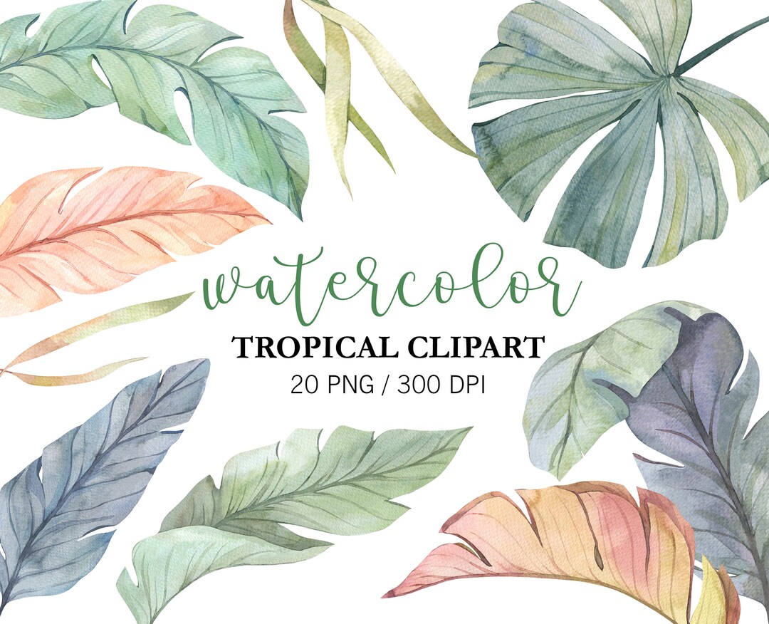 Watercolor Tropical Leaves Clipart, Tropics Clipart, Greenery Clipart ...