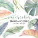 Watercolor Tropical Leaves Clipart, Tropics Clipart, Greenery Clipart ...