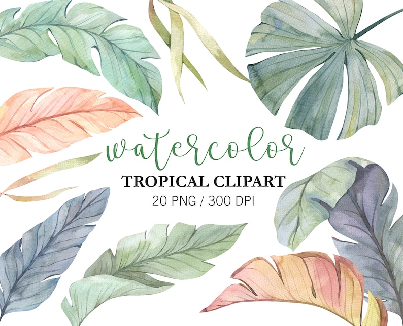 Watercolor Tropical Leaves Clipart Tropics Clipart Greenery - Etsy