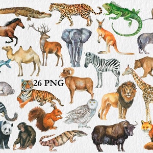 Watercolor Animals Alphabet Clipart Alphabet Animals Nursery Decor ...