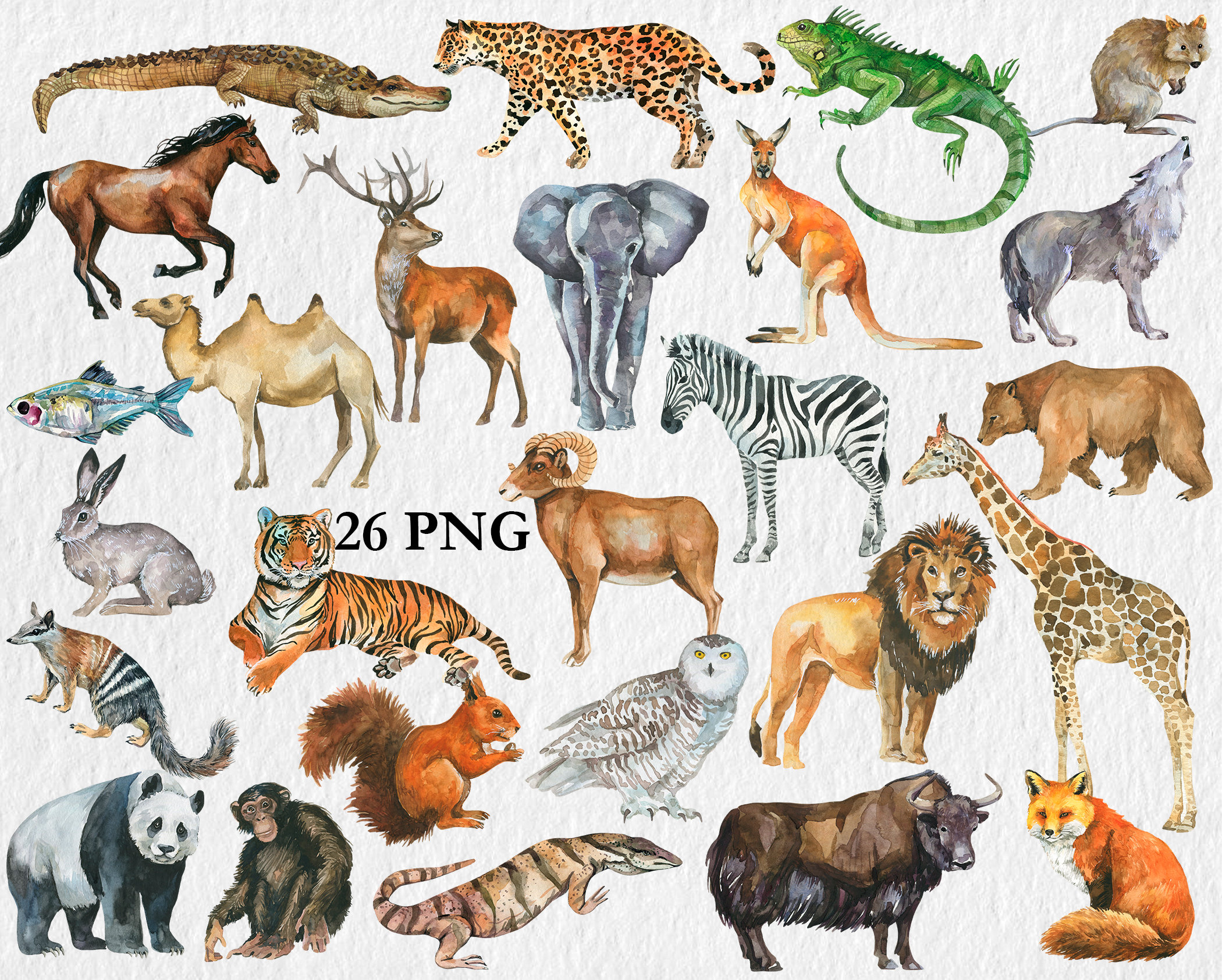 Watercolor Animals Alphabet Clipart Alphabet Animals Nursery | Etsy