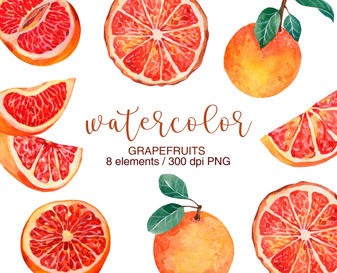Grapefruit Clipart Watercolor Citrus Clipart Citrus Fruit - Etsy