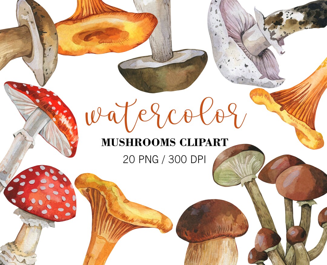 Watercolor Mushrooms Clipart, Fall Clipart, Thanksgiving Clipart, Fall ...