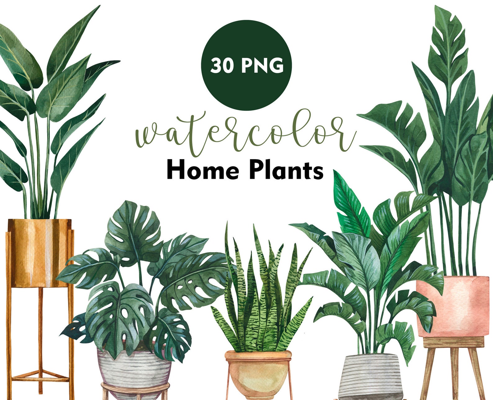 Watercolor House Plants Clipart Indoor Plants Greenery Home - Etsy