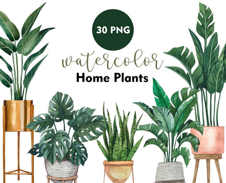 Watercolor House Plants Clipart Indoor Plants Greenery Home - Etsy