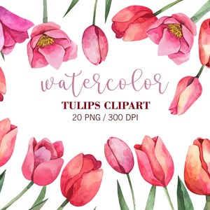 Watercolor Flowers Clipart, Tulip Clipart, Love PNG, Floral Wreath ...