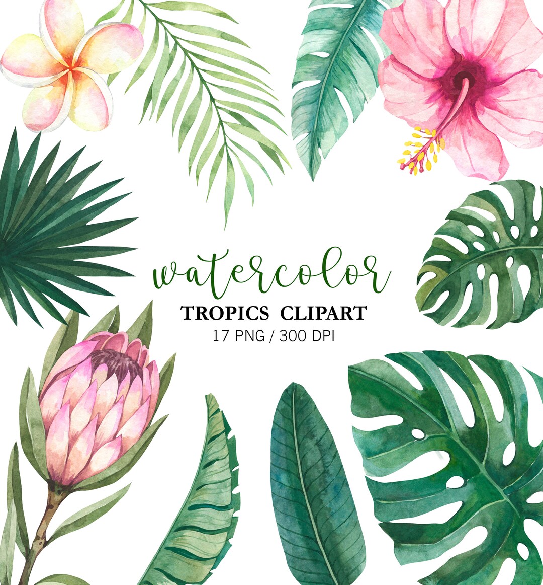 Watercolor Tropical Leaves Clipart Tropical Clipart PNG Tropical Decor ...