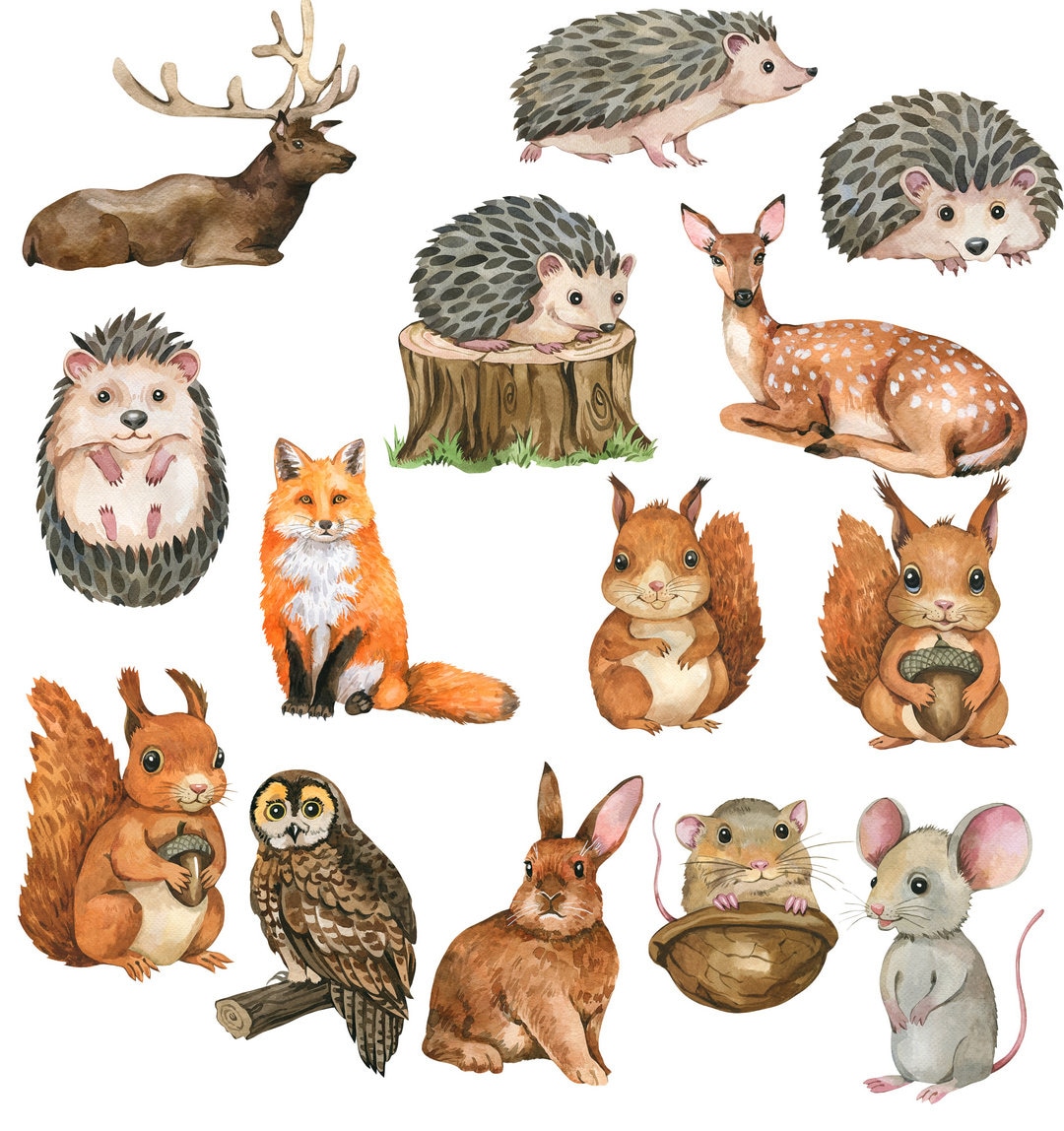 Watercolor Forest Animal Clipart PNG, Watercolor Animals Clipart ...