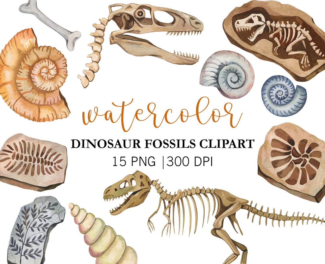 Watercolor Dinosaur Fossils Clipart, Dinosaur Clipart Dinosaur Skeleton ...